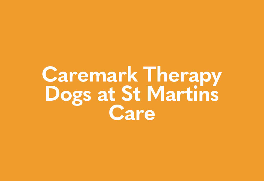 Heartwarming moments with Caremark Therapy Dogs at St Martins Care | St ...